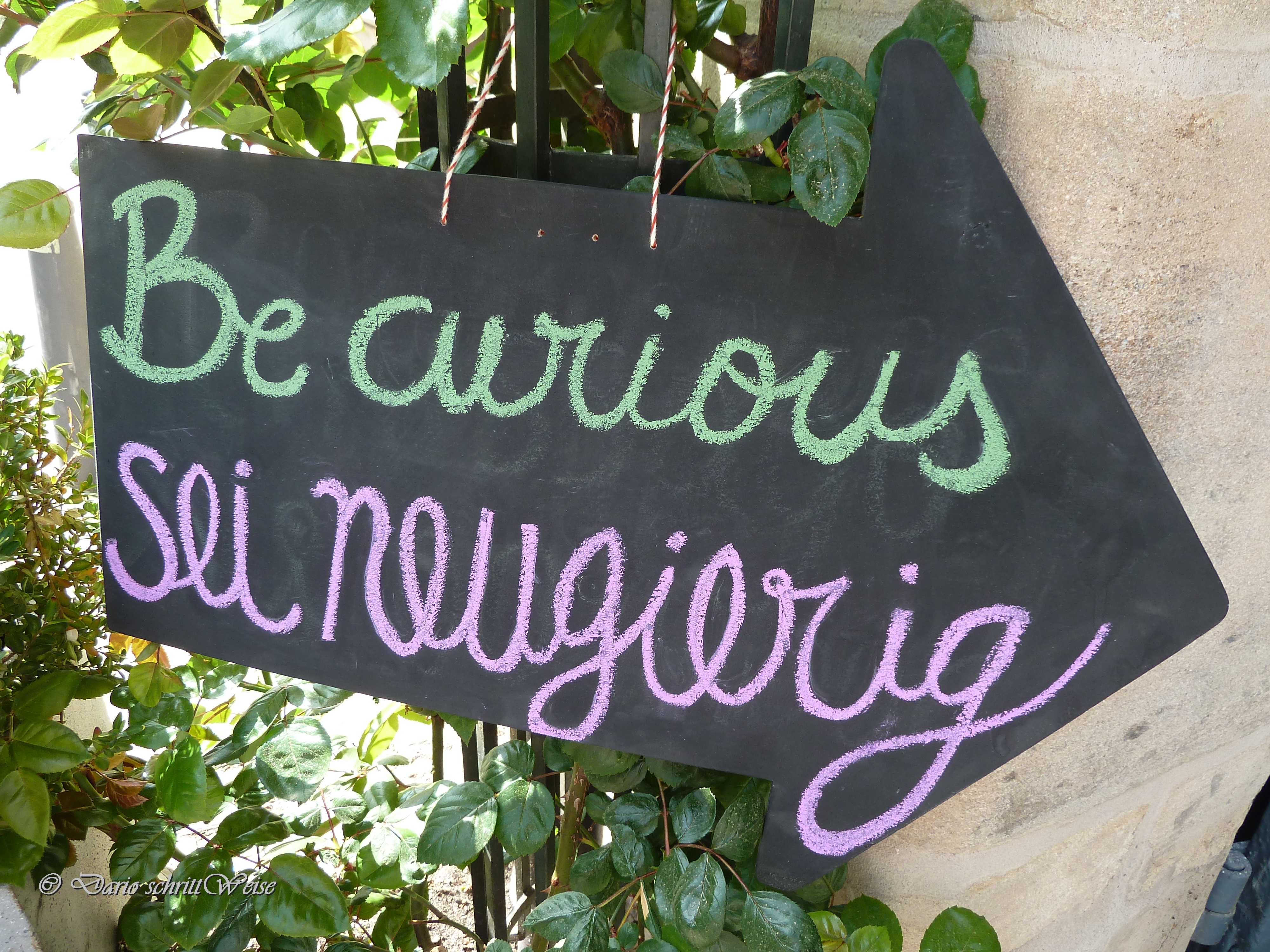 „Sei neugierig“ – Dario Schrittweise